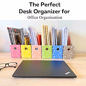 Evelots Magazine File Holder Organizer (6 Pack) Improved Front Fold-Extra Stable Flowers