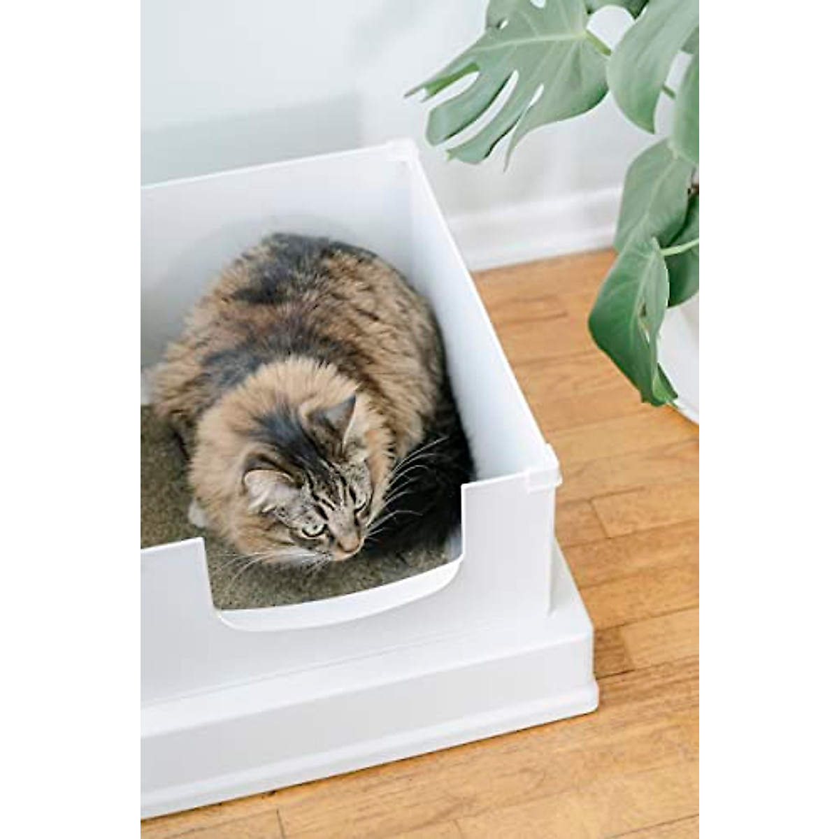 SpeedySift V2 Deluxe Cat Litter Box Starter Kit, Includes 56ct Disposable Sifting Liners, White