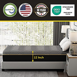 EGOHOME 12 Inch Queen Copper Gel Memory Foam Mattress, Therapeutic Mattress for Back Pain Relief, Cooling Gel Double Mattress Bed in a Box, Made in USA, CertiPUR-US Certified, 60”x80”x12”, Black