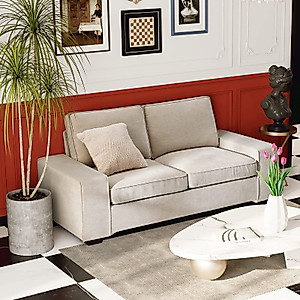 Luffield Chenille Loveseat Couch -71.3" Modern Design Sofa for Livingroom Clearance with Solid Wood, Metal Frame, Durable，Removable Back Cushion and Seat Cushion, Easy Cleaning(Beige)