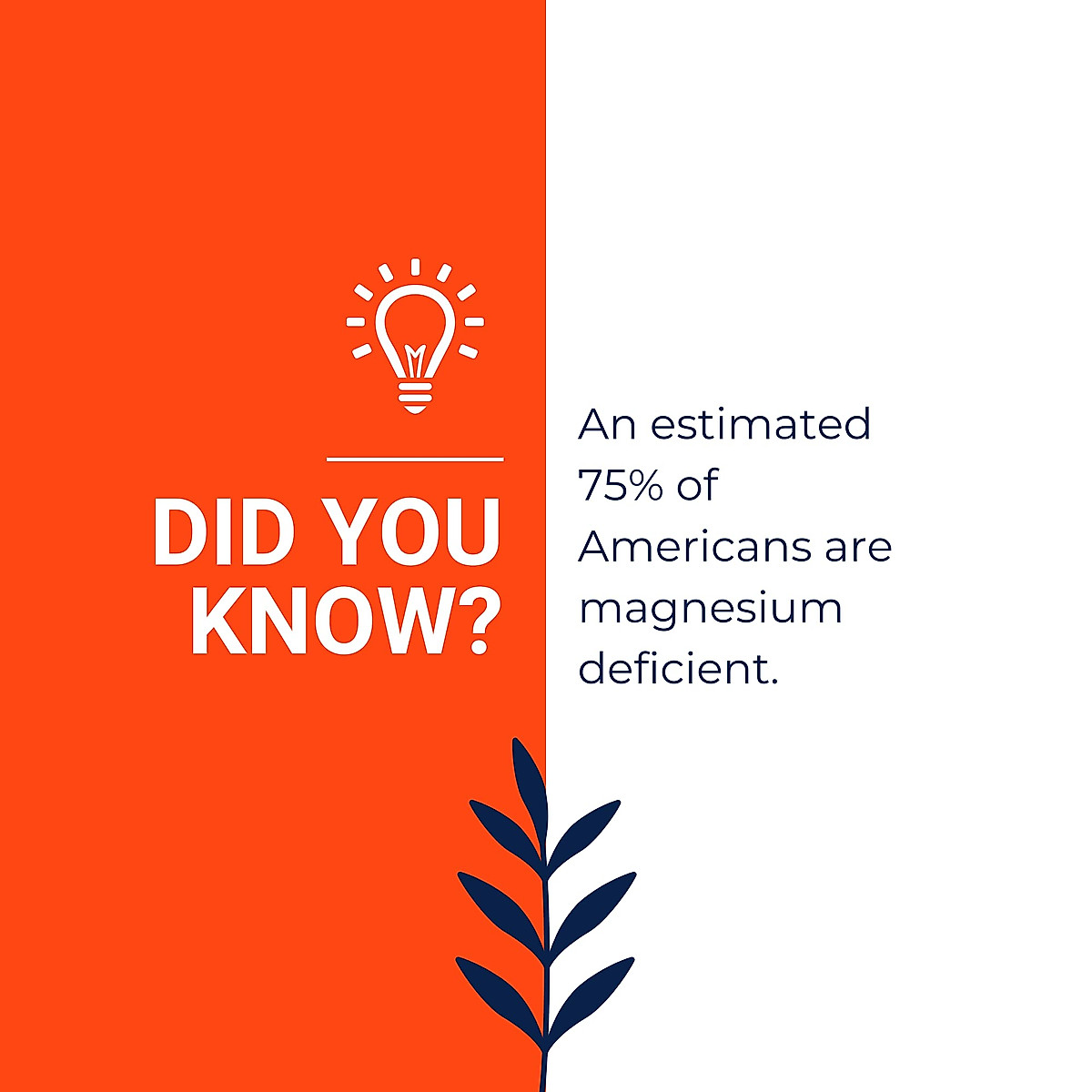 The Outback Series Magnesium+ Supplement - 300mg Magnesium Citrate & Glycinate - 90 Count