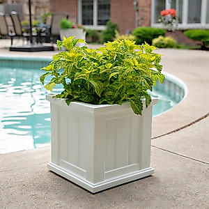 Mayne Cape Cod 14-Inch Square Planter – Self-Watering, Weather-Resistant Planter for Flowers – Durable Outdoor Design for Patio, Porch, or Entryway