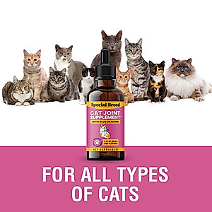 Special Breed Cat Joint Supplement, Liquid Glucosamine with Chondroitin for Cats, Feline Hip and Joint Pain Relief, 2 oz