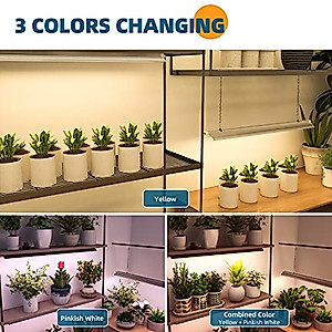 Barrina T5 Grow Light, 2FT 120W(4x30W, 800W Equivalent) Full Spectrum Grow Light with Timer, Color Changing LED Grow Lights for Indoor Plants, Linkable Hanging Plant Light for Indoor Growing, 4-Pack