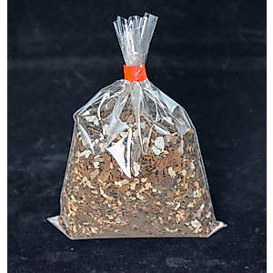 Calibonsai 6inch Rectangular Green Bonsai Succulent Pot Soil Tray Rock Mesh Kit