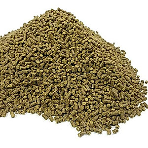 Aquatic Foods Inc. Pellets, Spirulina Sinking Pellets by Zeigler for Shrimp, Axolotls, Snails All Bottom Fish.1-lb
