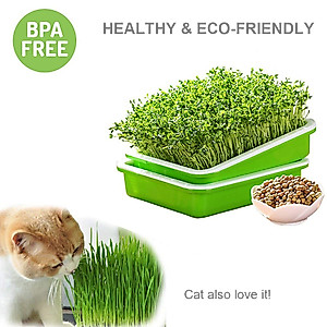 SUNPRO 2-Pack Seed Sprouter Tray BPA Free PP Soil-Free Big Capacity Healthy Wheatgrass Grower Sprouting Container Kit with Lid (2, Green)