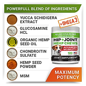 Large Breed Hemp + Glucosamine Dog Joint Supplement - Hemp Chews for Dogs Hip Joint Pain Relief - Omega 3, Chondroitin, MSM - Advanced Mobility Hemp Oil Treats for Large Dogs - Made in USA - 240 Ct