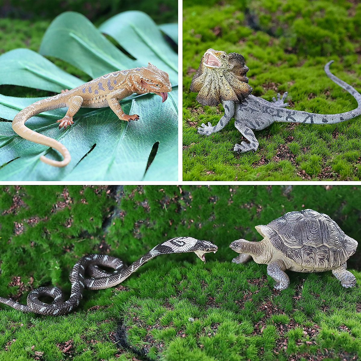 Toymany Reptile Animal Figurine Toys Set, 12 PCS Desert Amphibians Animal Figures with Komodo Dragon Lizard Snake Chameleon Rainforest Cold Blooded Animals Figures Party Favor for Kids