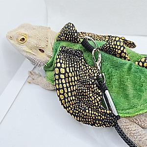 ADOGGYGO Bearded Dragon Harness Leash Set, Lizard Dragon Costume Adjustable Lizard Dinosaur Leash Harness for Bearded Dragon Reptiles (Green, Small)