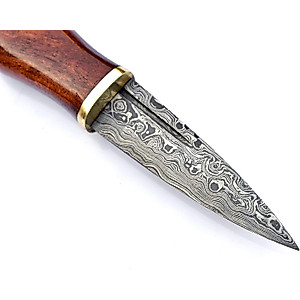 GLORIUS CRAFT Handmade Damascus Hunting Knife with Leather Sheath - Ideal for Skinning, Camping, Outdoor -Fixed Blade Bushcraft Knife with Walnut Wood Handle - Predator Hunter,
