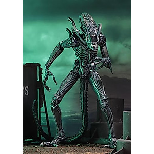 NECA - Alien- 7" Scale Action Figures - Ultimate Warrior - (1986) Blue Alien