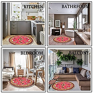 Erwinmu 2.6FT Tribal Round Area Rug for Bedroom Entryway Foyer - Persian Small Round Rug Soft Living Room Carpet Entryway Foyer Non-Slip Easy to Clean
