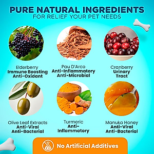 Natural Antibiotics for Dogs – Gentle, Effective Dog Antibiotic - Provides Dog Allergy Relief and Dog Itching Skin Relief - Premium Antibiotics for Dogs with Bacon Flavor