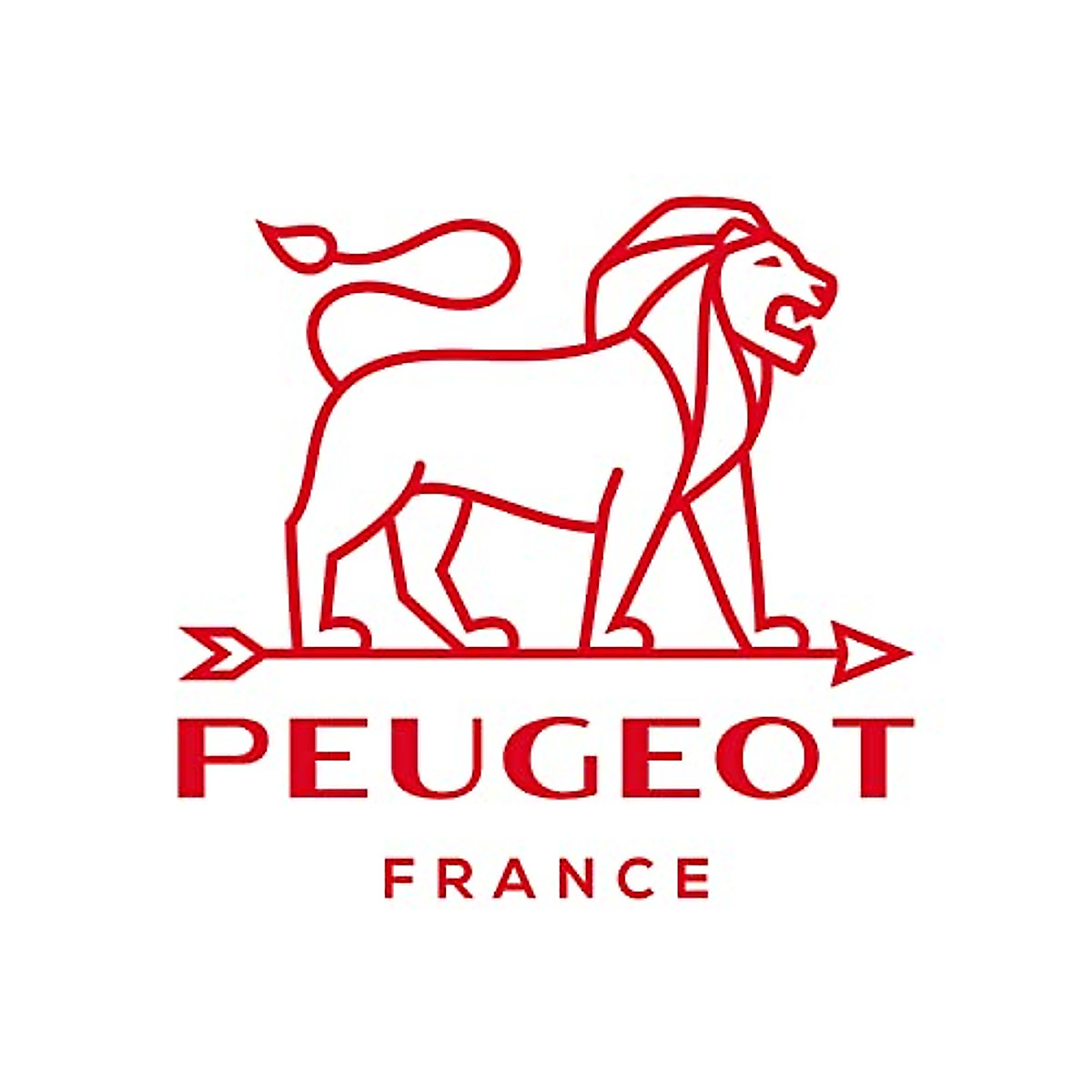 Peugeot Madagascar-55g Voatsiperifery Spice Cube-Wild Pepper Madagascar, 55g, Clear