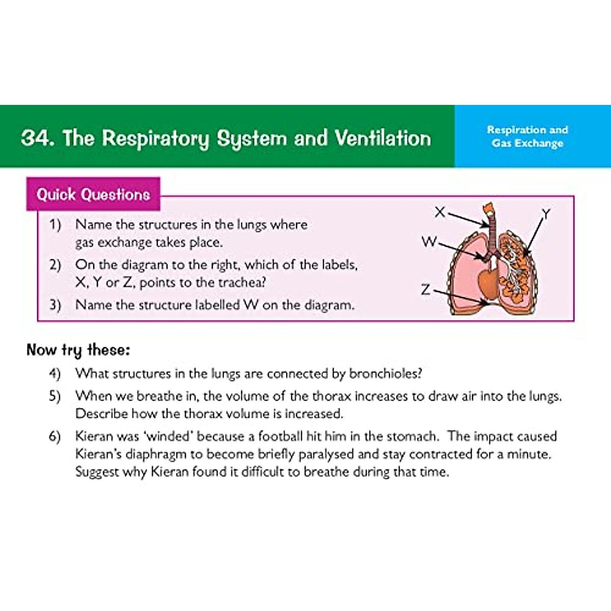 New Grade 9-1 Edexcel International GCSE Biology: Revision Question Cards (CGP IGCSE 9-1 Revision)