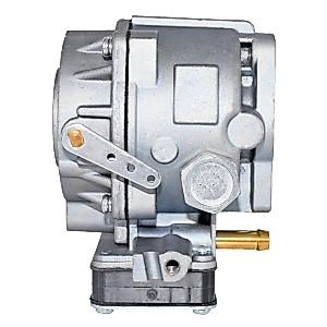 Carburetor Compatible with 693480 693479 694056, Replaces 495181 495026 491429 with Air Filter