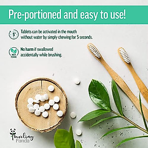 Traveling Panda, Travel Toothpaste Tablets, Chewable Charcoal Whitening Tabs, No Water Required Perfect Traveling Essentials for On The Go Teeth Brushing, Vegan and No Sugar, Mint 60 Tablets