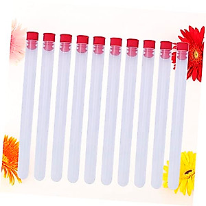 CORHAD 10 Pcs Needle Organizer Craft Storage Containers Clear Jar Bottles for Needles Storage Sewing Needle Case Tube Gummy Container with Lid Transparent Dispenser Test Tubes with Lids