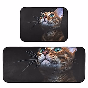 Bengal Cat Kitchen Rugs and Mat 2 Pieces Set Cushioned Anti Fatigue Kitchen Mat Non Slip Doormat Runner Carpet Washable Farmhouse Decor for Home Kitchen Hallway Bedroom