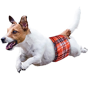 MICOOYO Washable Belly Bands for Male Dogs | Reusable Doggie Diapers | Absorbent Doggy Wraps with Adjustable Fastener - XSmall (Pack of 3, Plaid Red & Blue & Grey)