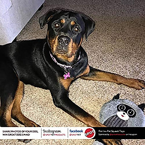 SPOT Flat Jax - Dog and Puppy Toy with Durable Jumbo Size Squeaker That Keeps on Squeaking Even if Punctured, Great for Light and Moderate Chewers,13inch