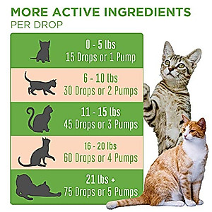 Cat Probiotic | USDA Organic Probiotic Cat | Probiotic for Cats | Cat Probiotic for Digestive Support | Supplement for Gut Health & Beneficial Bacteria | Vegan | Non-GMO | Gluten Free | 4 Fl Oz