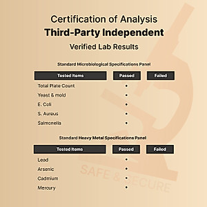 L Tyrosine Supplement, 1,500mg Per Serving, 240 Capsules | Essential Amino Acids – Brain Health Support for Memory, Cognitive Health, and Mental Alertness – Non-GMO