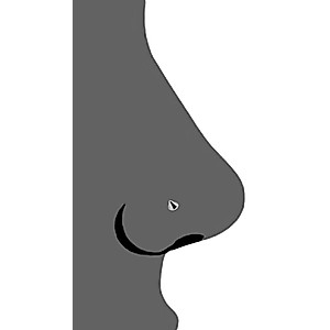 Forbidden Body Jewelry 20g Surgical Steel Nose Screw with Steel Spike