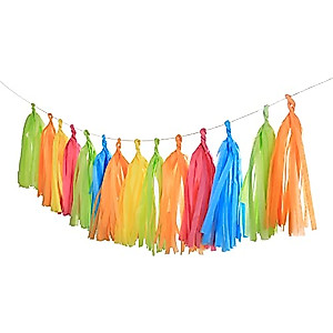 25 PCS Fiesta Paper Tassel Garland Paper Banner DIY Hanging Paper Decoration Party Garland Streamers for Wedding, Birthday Celebration Party Decor and Outdoor Decor