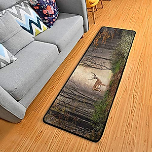 ALAZA Fallow Deer Dreamy Misty Forest Runner Area Rug Non Slip Floor Mat for Hallway Entryway Living Room Bedroom Dorm Home Decor 72x24 inches