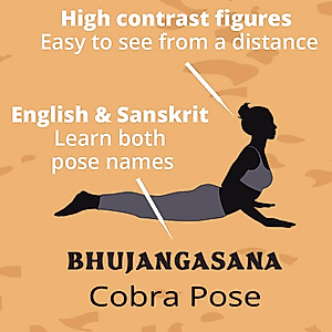 The Mindful Word Yoga Poses Poster (24x36 Inches) - Extra Large Yoga Poster with 62 Asanas/Positions/Stretches English & Sanskrit (Rolled/Tube)