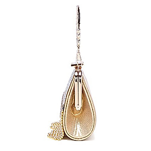 Women's Evening Bag for Dinner Night Clutch Purse Handbag with Rhinestone Tassels Gold