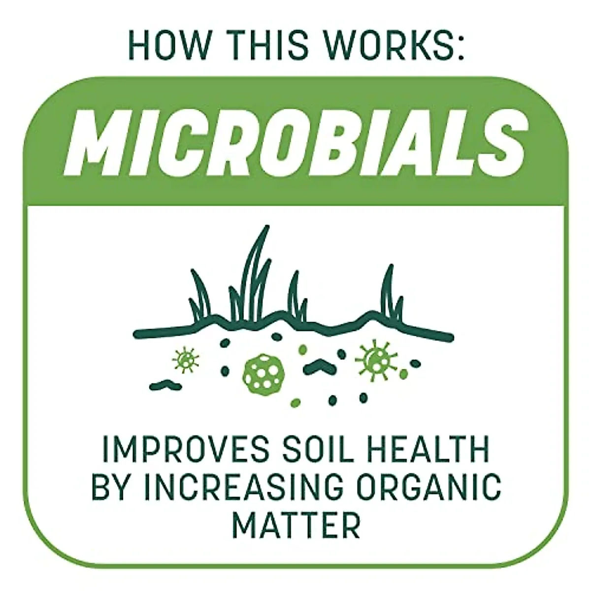 Pennington Smart Patch Tall Fescue Mix Jug 5 lb