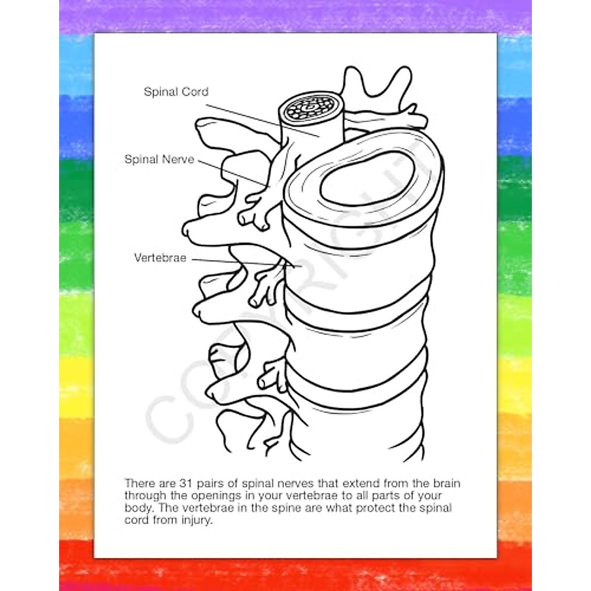 ZoCo - A Visit to The Chiropractor's Office - Educational Coloring Books (50 Bulk Pack, Without Crayons) - Chiropractor Supplies - Activities for Kids