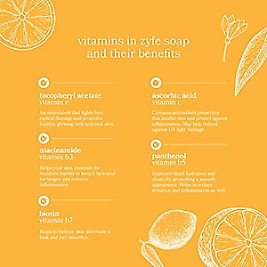 ZYFE Vitamin Hand Soap Refill & Rechargeable Automatic Soap Dispenser | Liquid Hand Soap | Natural Plant Derived Moisturizing Handsoap