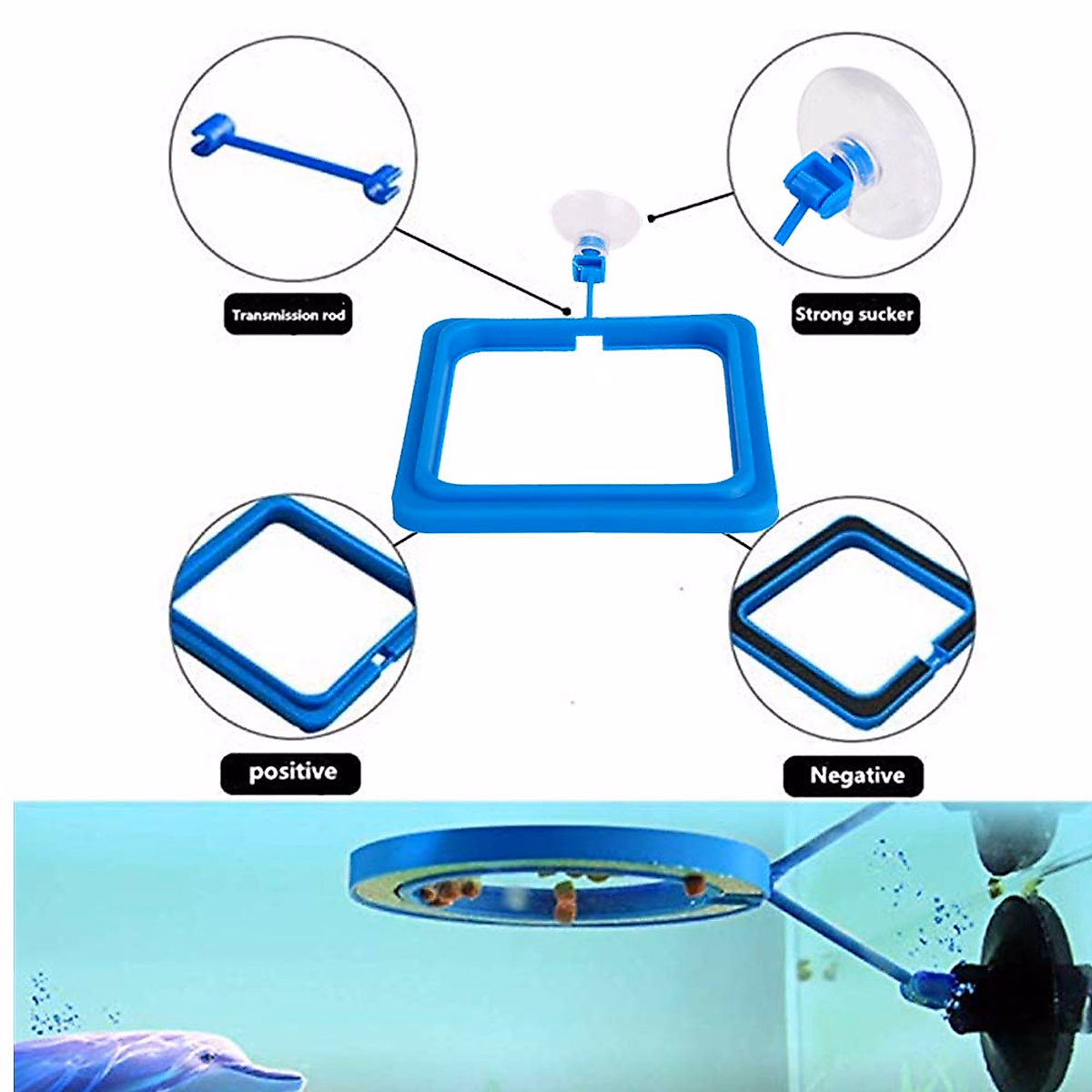2 Pcs Fish Feeding Ring, Fish Safe Floating Food Feeder Circle Blue, with Suction Cup Easy to Install Aquarium, Square and Round Shape Fish Tank Towels - for Guppy, Betta, Goldfish, Etc. (Blue)¡­