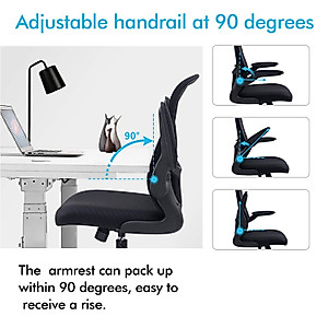 FelixKing Office Chair, Ergonomic Desk Chair with Adjustable Height, Swivel Computer Mesh Chair with Lumbar Support and Flip-up Arms, Backrest with Breathable Mesh (Black)