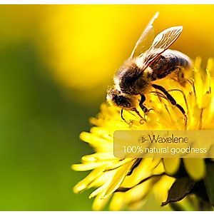 Waxelene Original Aerated Balm, Travel Jar, Organic Multipurpose Ointment the Petroleum Jelly Alternative Eczema Dry Sensitive Skin Face Moisturizer