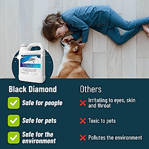 Black Diamond Stoneworks MARBLE & TILE FLOOR CLEANER. Great for Ceramic, Porcelain, Granite, Natural Stone, Vinyl and Brick. No-rinse Concentrate.(1-Gallon)