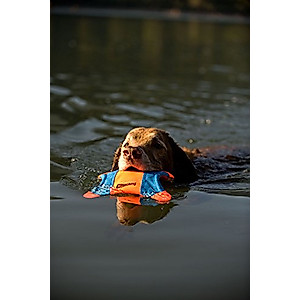 Chuckit! Flying Squirrel Spinning Dog Toy, Large (Orange/Blue), Multi Colored, for Medium breeds