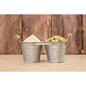 G&T Country Living Cricket and Dubia Roach Chow (11 Lbs.) - Premium Chow to Raise Your Feeder Crickets and Dubia Roaches. Update!! (Feed is Individually Packaged in 1-Pound Bags)