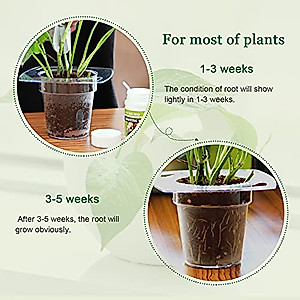 Colmo Rooting Hormone Powder for cuttings Miracle Grow Potting Soil Fertilizer 0.7 oz/ 20g