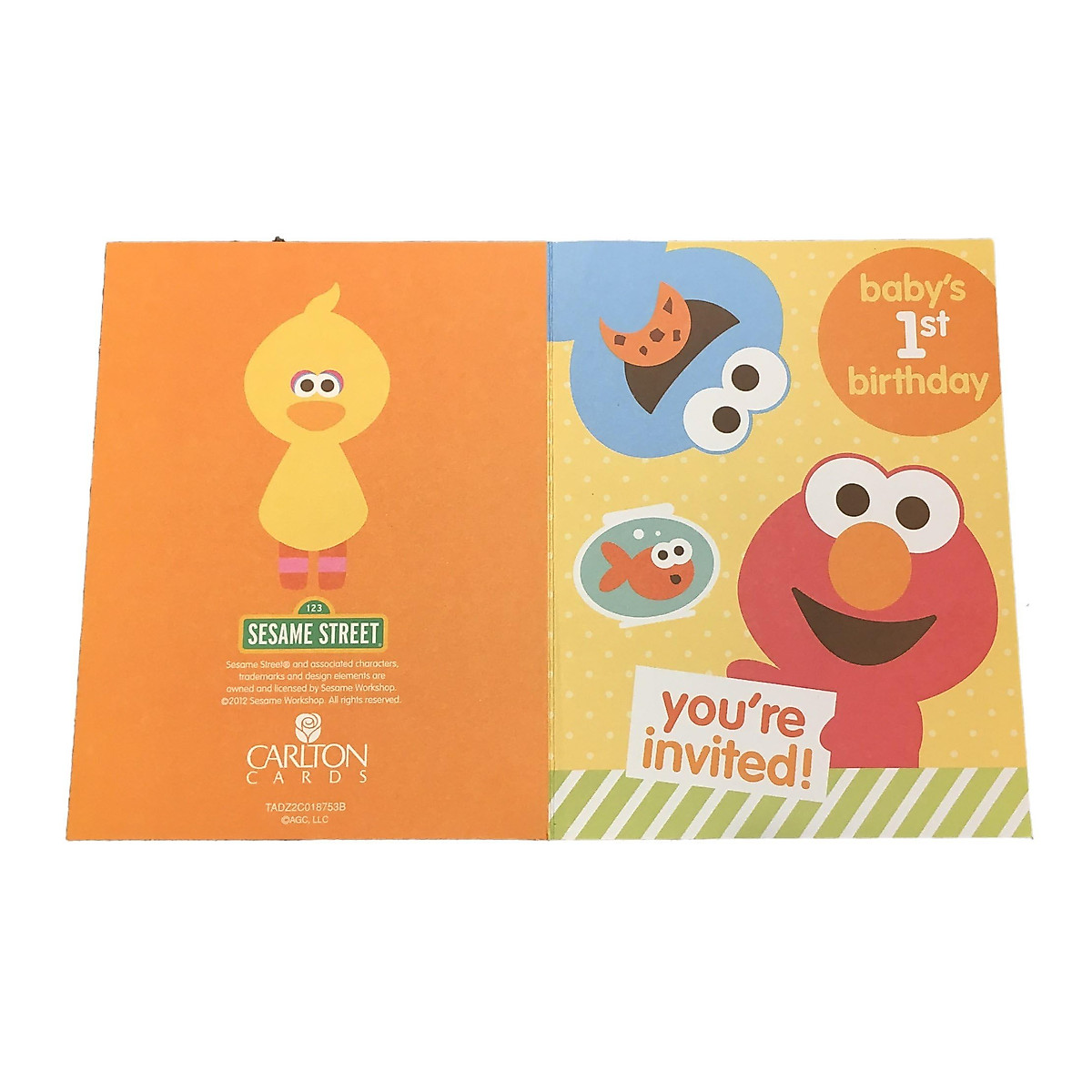 Sesame Street Babys 1st Birthday Party Invitations Elmo 10 Cards
