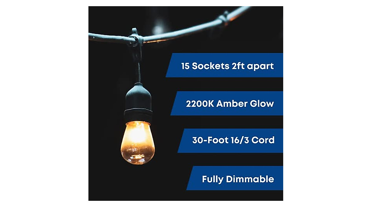 Feit Electric 30ft Outdoor String Lights - Dimmable & Weatherproof