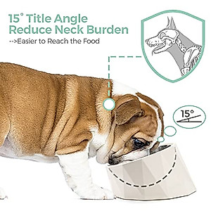 Elevated Dog Bowl for Small Dogs, Tilted Dog Bowl Dog Dish with Detachable Melamine Stand, Dog Food Bowl for French Bulldogs, Puppies, Cats, Non-Skid, Easier to Reach Food