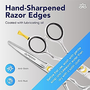 Equinox Razor Edge Series Professional Hair Scissors - 6.5” Premium Japanese Stainless Steel Hair Cutting Scissors, Hair Shears for Hair Cutting, Barber Accessories & Hair Salon Supplies - Silver