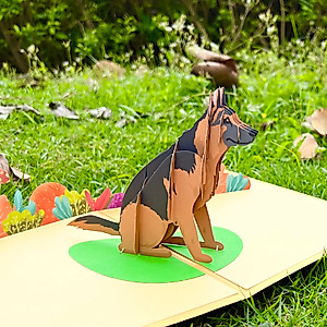 RIHDXCH German Shepherd Pop Up Card, German Shepherd Card With Envelop, Birthday Card From Dog, Thank You, Card For Mom, Dad, Husband, German Shepherd Gifts.Cancer Support Thank You Cards