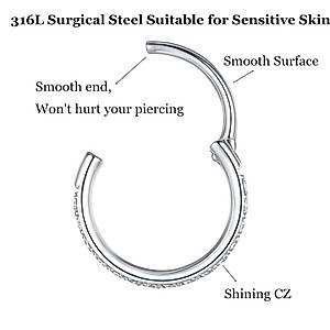 L7L7WM CZ Hinged Segment Nose Rings Hoop 316L Surgical Steel Cubic Zirconia Conch Daith Helix Tragus Body Piercing Jewelry Lip Rings Cartilage Earrings 20G 18G 16G Stainless Steel Septum Clicker Ring,