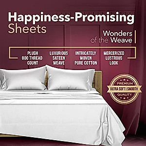 TEXAS LINEN CO. Egyptian Cotton Queen Sheet Set, 800 TC 4 PC Silver Grey Egyptian Cotton Sheets for Queen Size Bed, Extra Long Staple Cooling Sheets, Luxury Hotel Sheets, Deep Pocket Queen Sheets Set